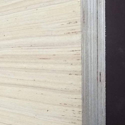 Pappel-Eucalyptus-Multiplexplatten